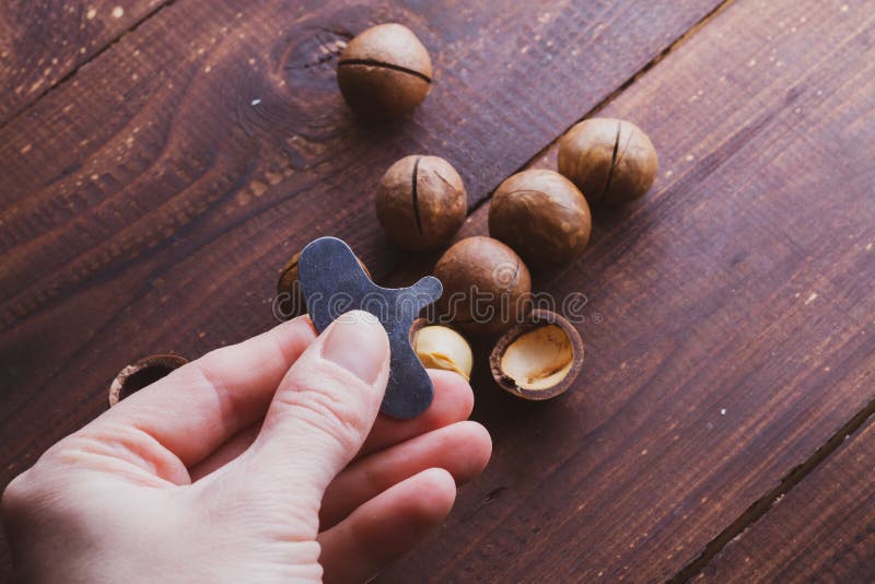 Macadamia Nuts and a Metal Nut Cracking Wrench Stock Photo - Image of ...