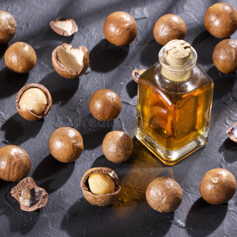 Macadamia Nuts and Oil - Macadamia Integrifolia Stock Photo - Image of ...