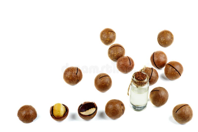 Macadamia Nuts and Oil Isolated on a White Stock Image - Image of ...