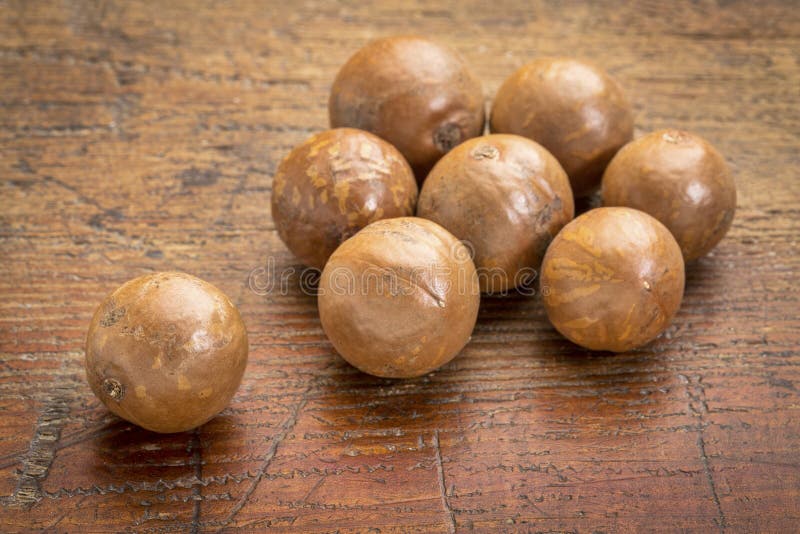 Macadamia Nuts on Rustic Wood Stock Image - Image of focus, grunge ...