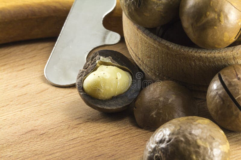 Macadamia nuts stock photo. Image of kernel, product - 68524352