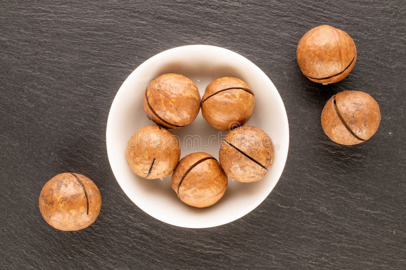 Macadamia Nuts in Shell with Kitchen Utensils, Close-up, Isolated on ...