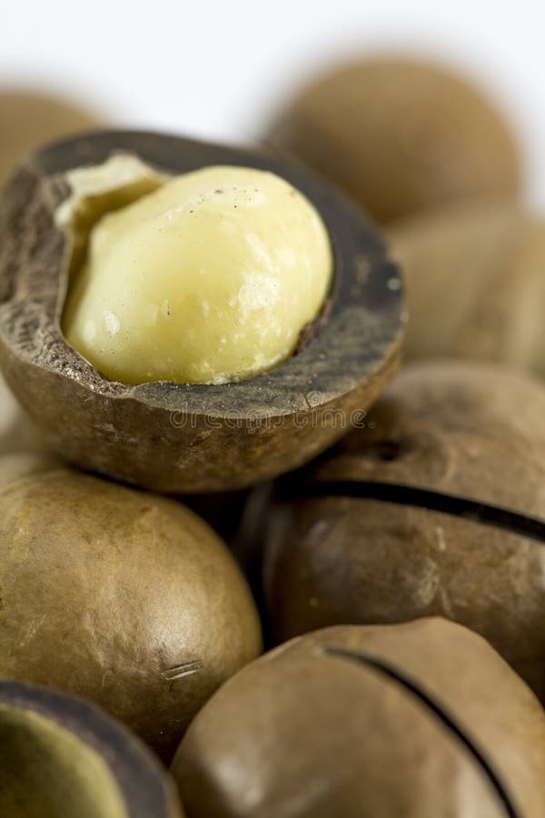 Macadamia nuts stock photo. Image of vegetarian, white - 68524564