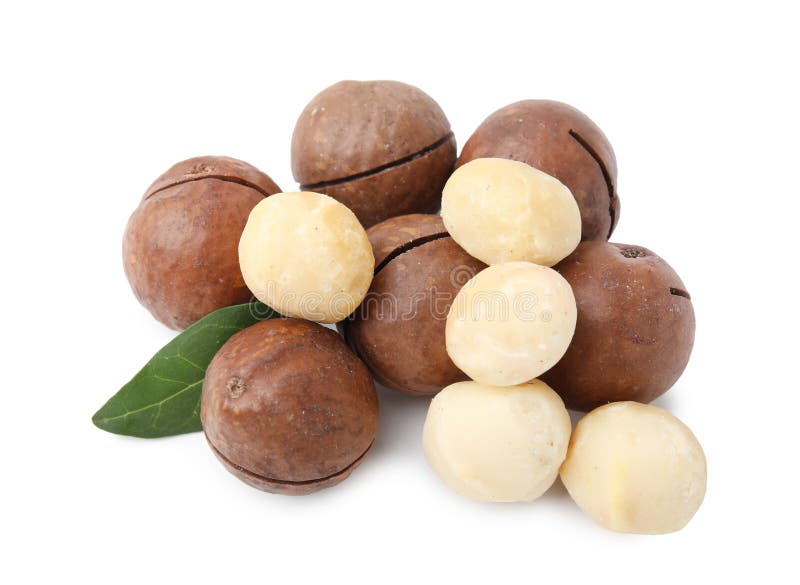 Macadamia Nuts with Shells Isolated on White Stock Image - Image of ...