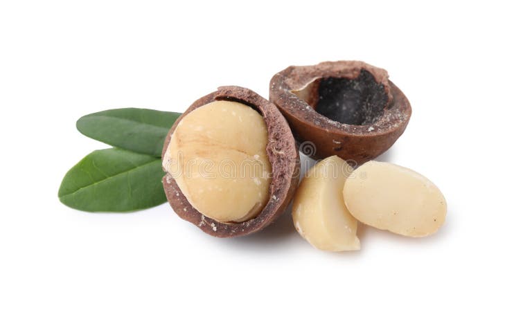 Macadamia Nuts with Shells Isolated on White Stock Image - Image of ...