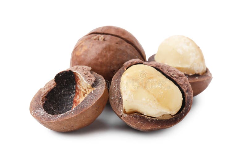Macadamia Nuts with Shells Isolated on White Stock Image - Image of ...