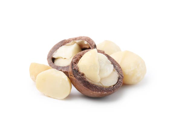 Macadamia Nuts with Shells Isolated on White Stock Photo - Image of ...