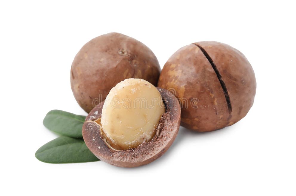 Macadamia Nuts with Shells Isolated on White Stock Image - Image of ...