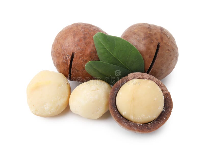 Macadamia Nuts with Shells Isolated on White Stock Photo - Image of ...
