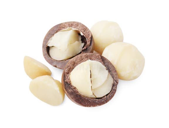 Macadamia Nuts with Shells Isolated on White Stock Photo - Image of ...