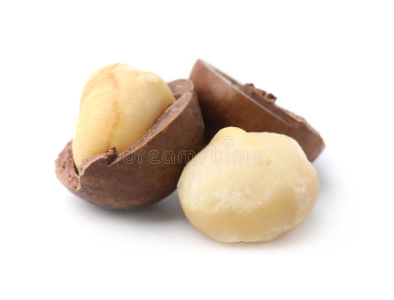 Macadamia Nuts with Shells Isolated on White Stock Image - Image of ...