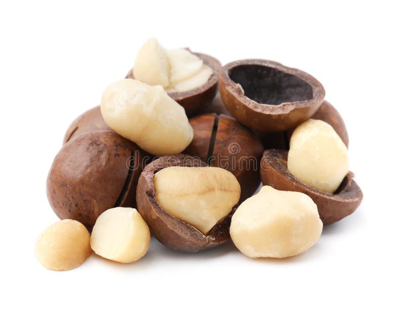 Macadamia Nuts with Shells Isolated on White Stock Photo - Image of ...