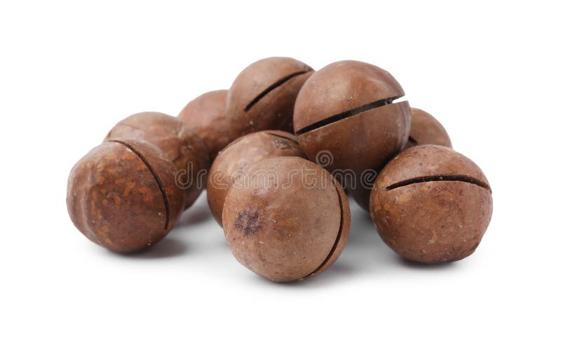 Macadamia Nuts in Shells Isolated on White Stock Image - Image of ...