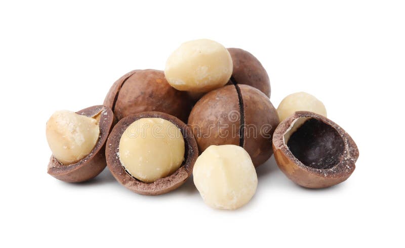 Macadamia Nuts with Shells Isolated on White Stock Image - Image of ...