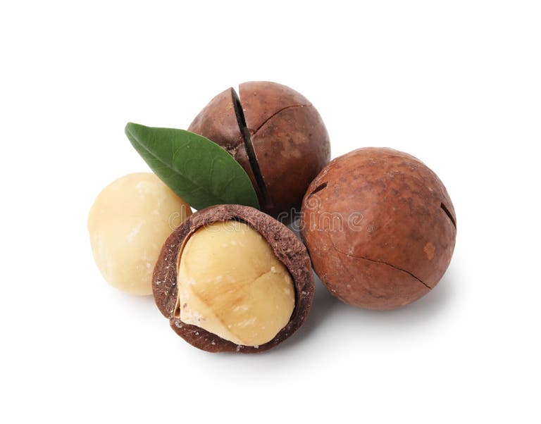 Macadamia Nuts with Shells Isolated on White Stock Photo - Image of ...