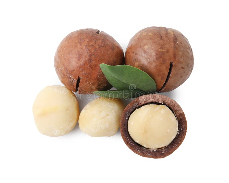 Macadamia Nuts with Shells Isolated on White, Top View Stock Photo ...