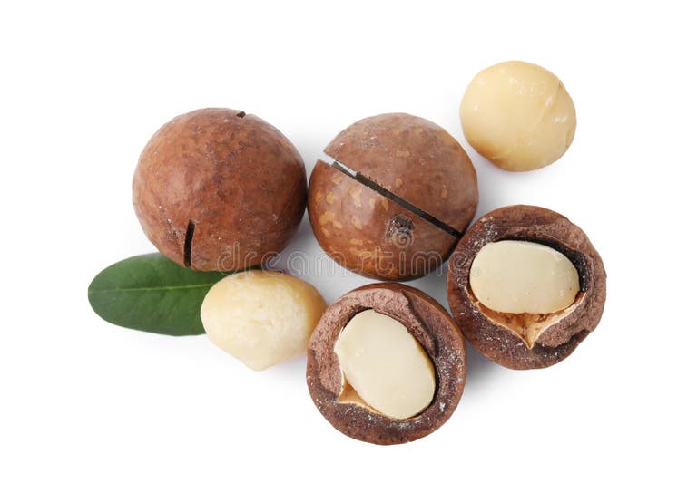 Macadamia Nuts with Shells Isolated on White, Top View Stock Image ...