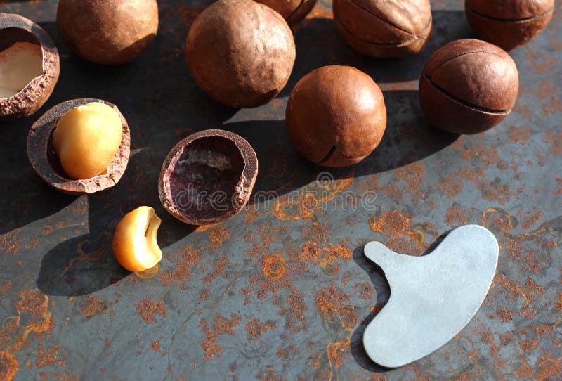 Macadamia Nuts in Shells on a Metal Background with a Key Stock Image ...