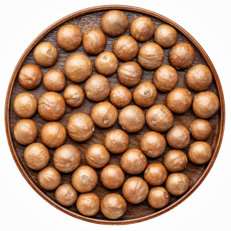 Macadamia Nut Shells stock photo. Image of shell, dietary - 11458928