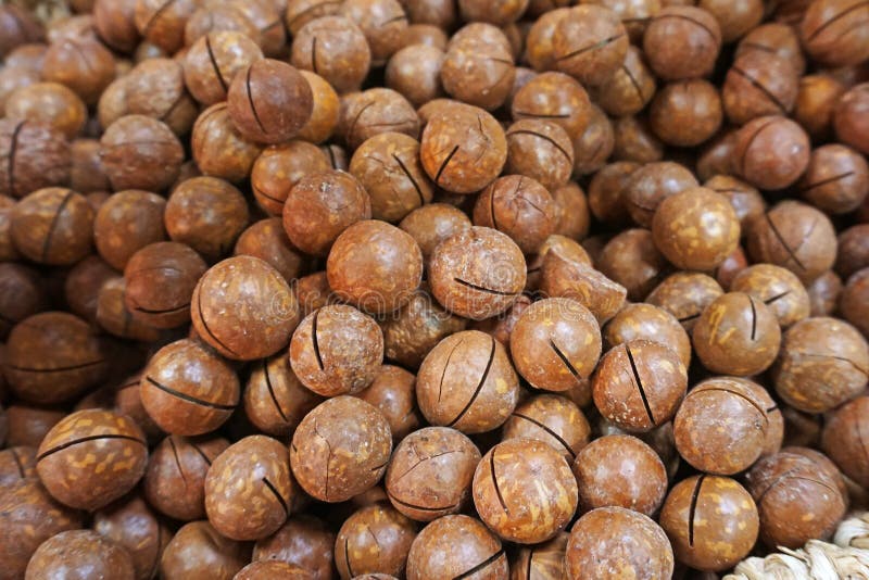 Macadamia Nuts Texture Background with Dried Stock Photo - Image of ...