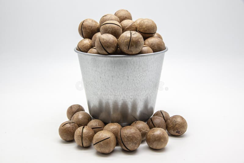 Macadamia Nuts in a Tin Bucket on White Background Stock Photo - Image ...