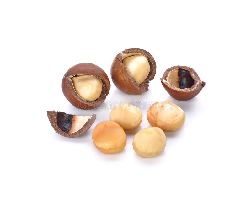 Macadamia Nuts on White Background Stock Image - Image of healthy ...