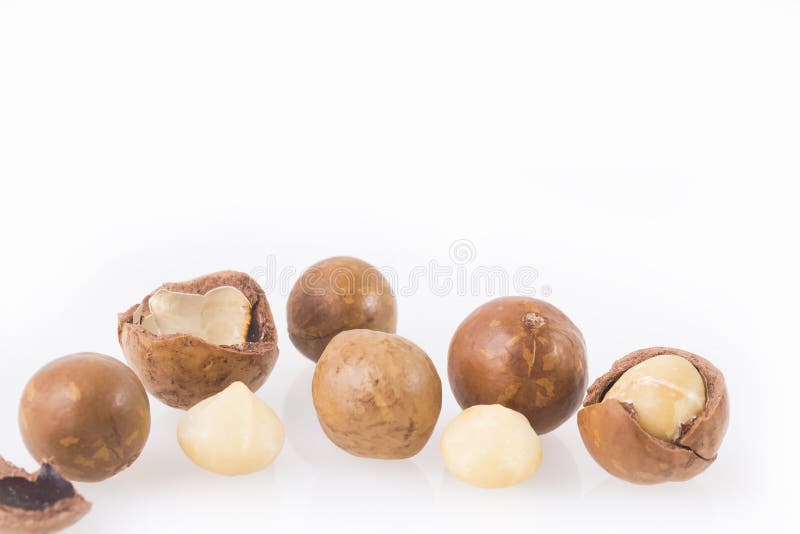 Macadamia Nuts - Macadamia Integrifolia Stock Image - Image of ...