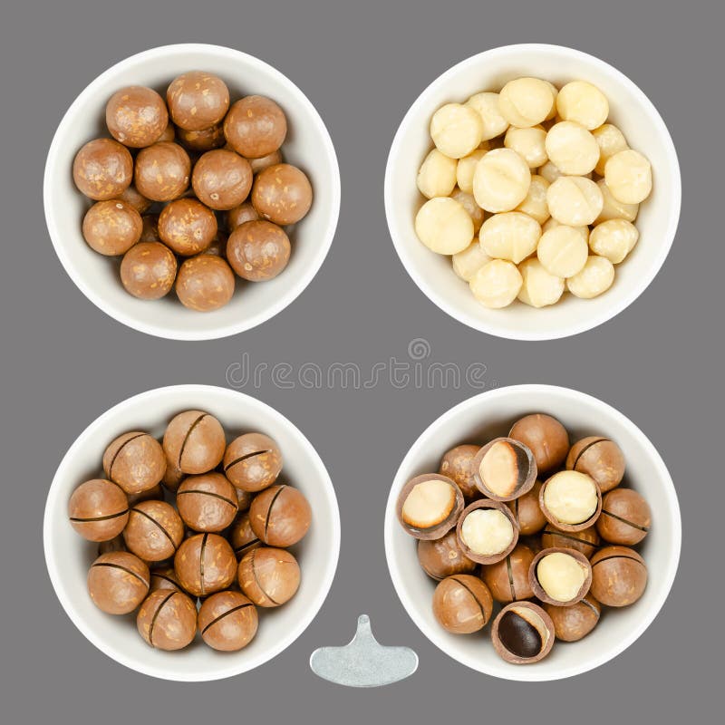 Macadamia Nuts, in Nutshells and Shelled, in White Bowls Over Gray ...