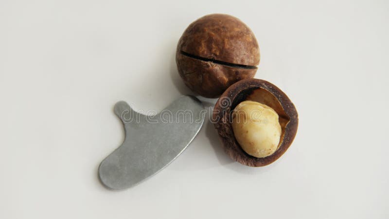 Macadamia Nuts Whole and One Split and a Metal Key on a White ...