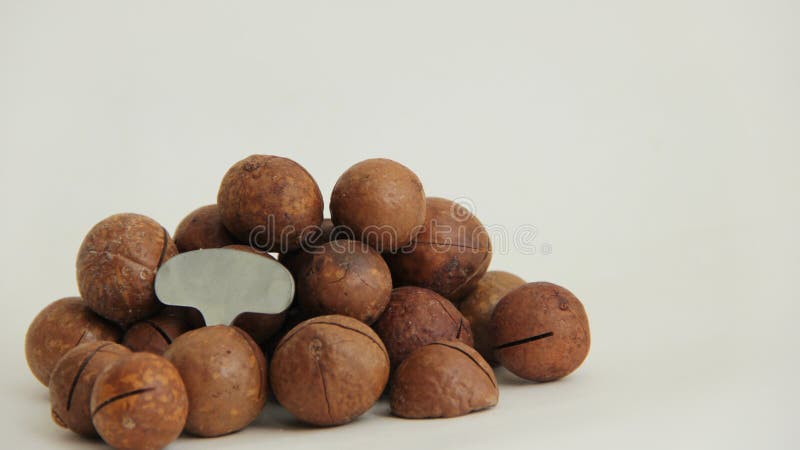 Macadamia Nuts Whole and One Split and a Metal Key on a White ...