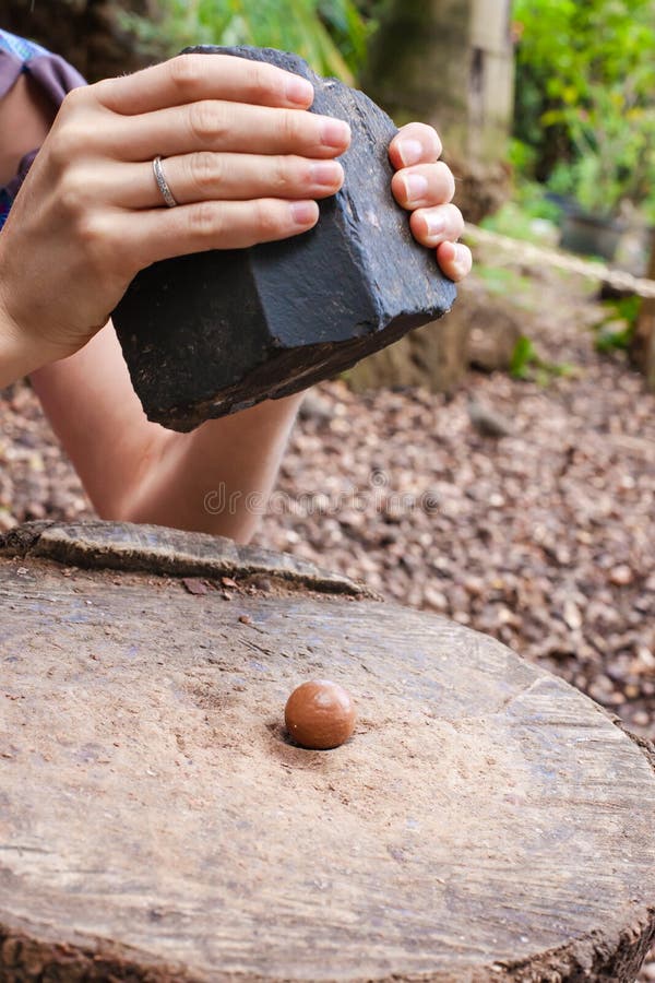 Macadamia nuts stock image. Image of ingredient, background - 35654167