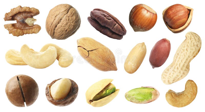 Macadamia and Other Nuts Isolated on White, Collection Stock Photo ...