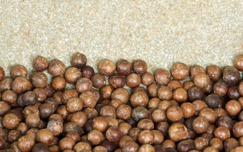 Macadamia in shell stock photo. Image of plant, harvest - 46677786
