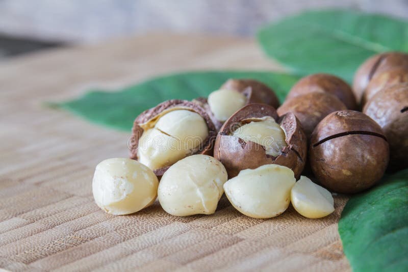 Macadamia on wood table. stock image. Image of protein - 49114739