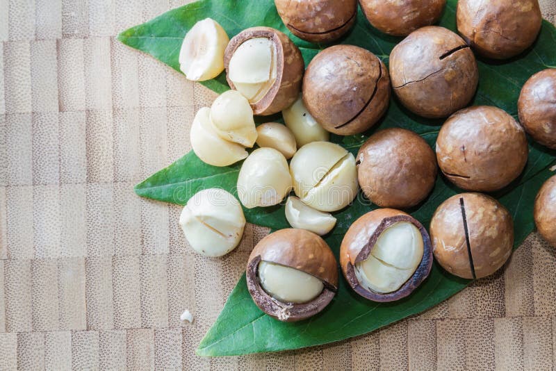Macadamia on wood table. stock image. Image of fruit - 49114981