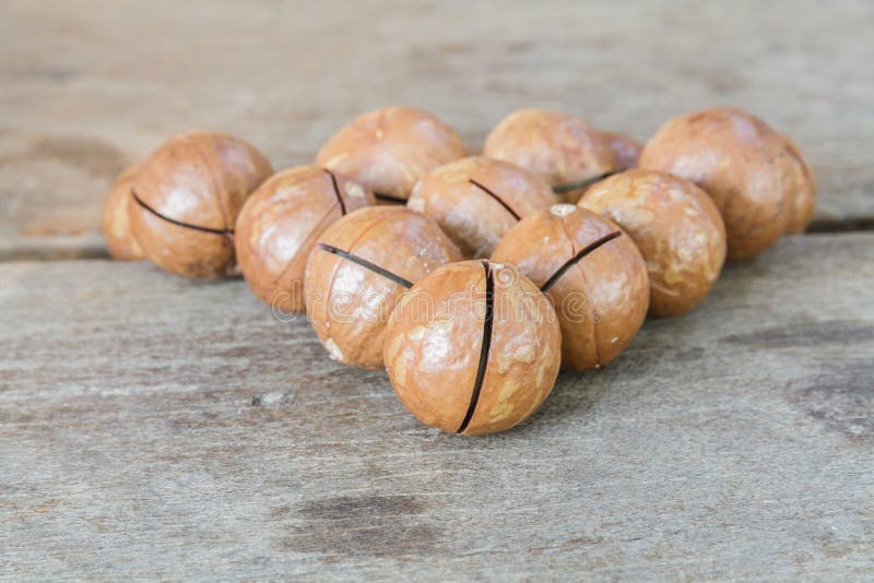 Macadamia on wood table. stock photo. Image of natural - 49114596