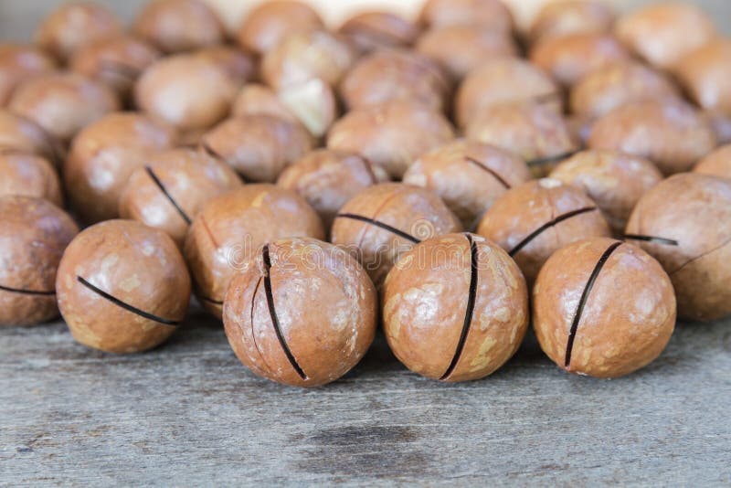 Macadamia on wood table. stock image. Image of fruit - 49114597