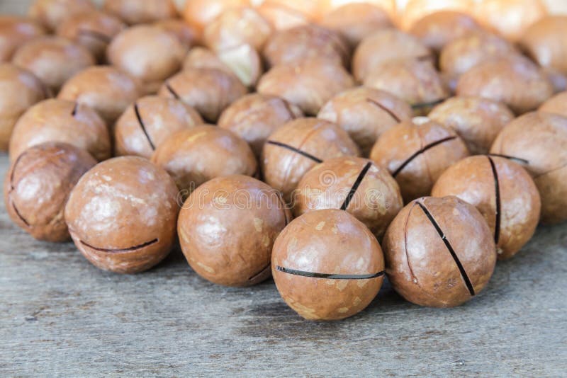 Macadamia on wood table. stock image. Image of food, macadamia - 49114601