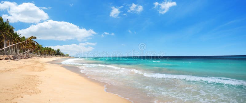Macao Beach and Ocean Waves Panoramic View, Dominican Republic Stock ...