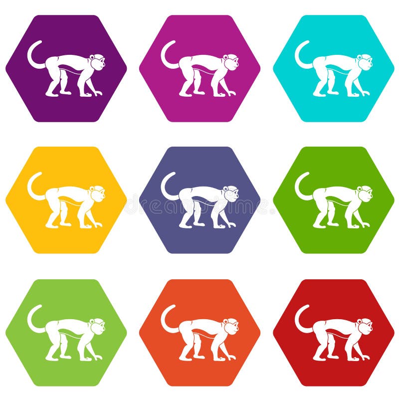 Macaque Icon Set Color Hexahedron Stock Vector - Illustration of animal ...