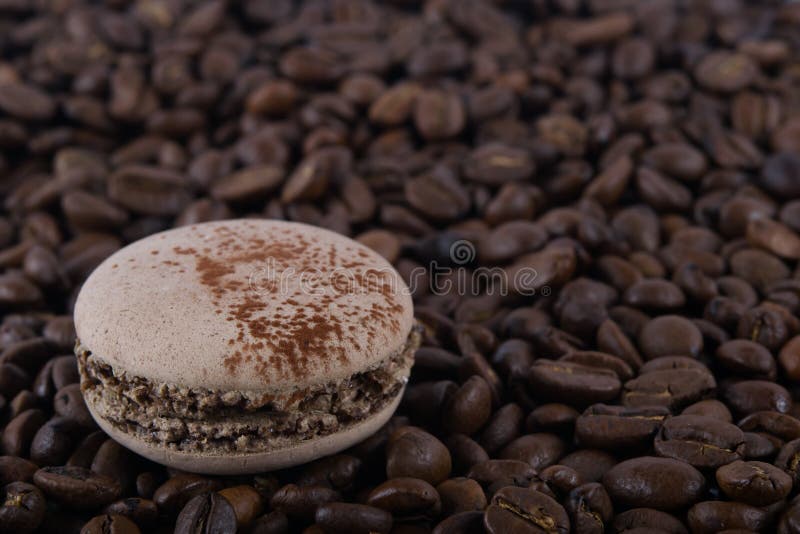 Macaron Coffee Taste on Brown Arabica Grains Stock Image - Image of ...