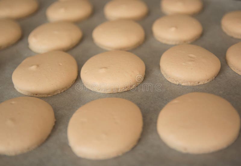 Macaron Shells on a Baking Pan Stock Image - Image of homemade, sweet ...