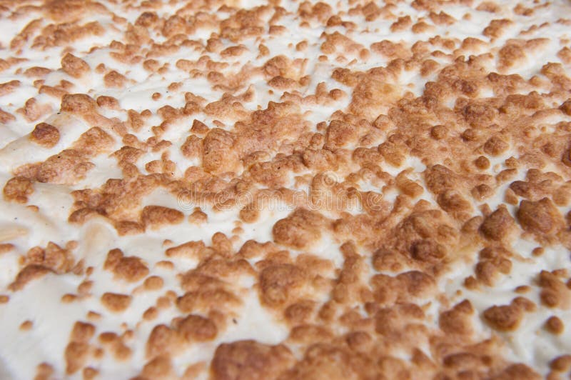 Macaroni Bechamel at an Oriental Restaurant Buffet Stock Photo - Image ...