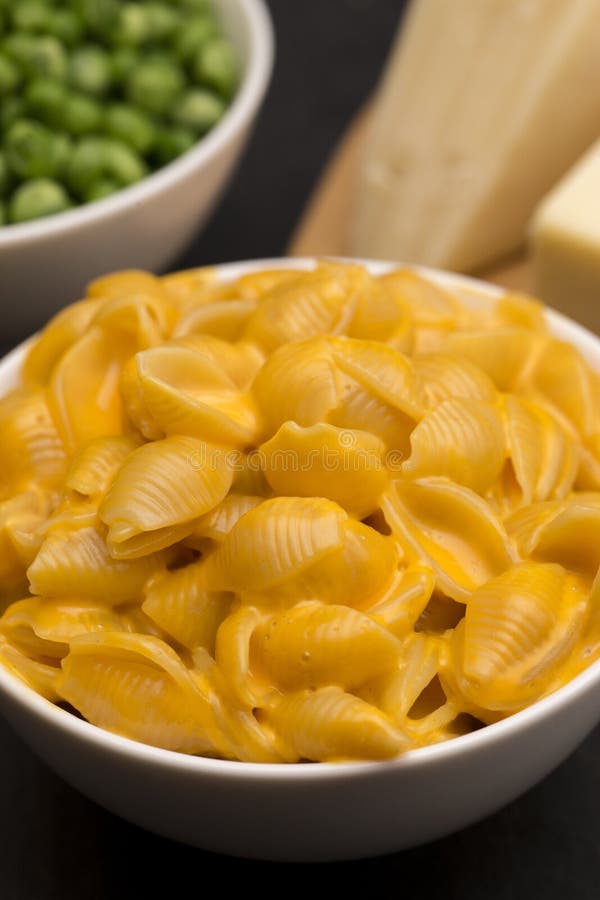 Macaroni Shells and Cheese stock photo. Image of creamy - 120514624