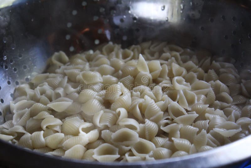 Macaroni shells stock photo. Image of shell, drained - 58265540