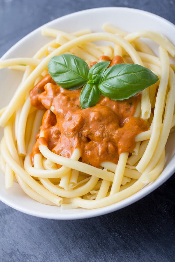Macaronie with Tomato Sauce Stock Photo - Image of plate, noodles: 40107392
