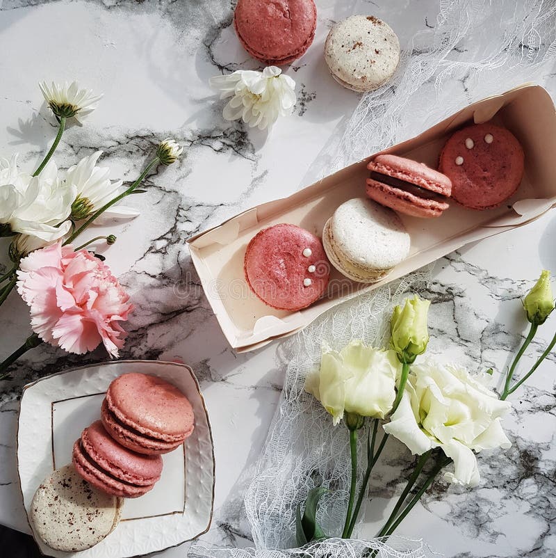 Macarons beauty melody stock photo. Image of petal, plant - 190767398