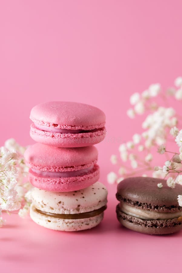 Macarons of Different Color on Pink Background Flowers Vertical Stock ...