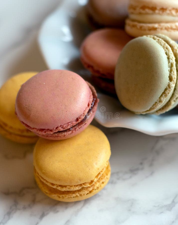 Mereingue Shell Stock Photos - Free & Royalty-Free Stock Photos from ...