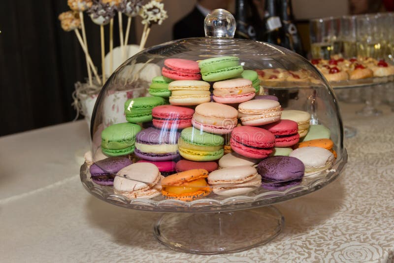 Unique Macaroons of Flower Flavour. Creative Dessert Compositions Stock ...